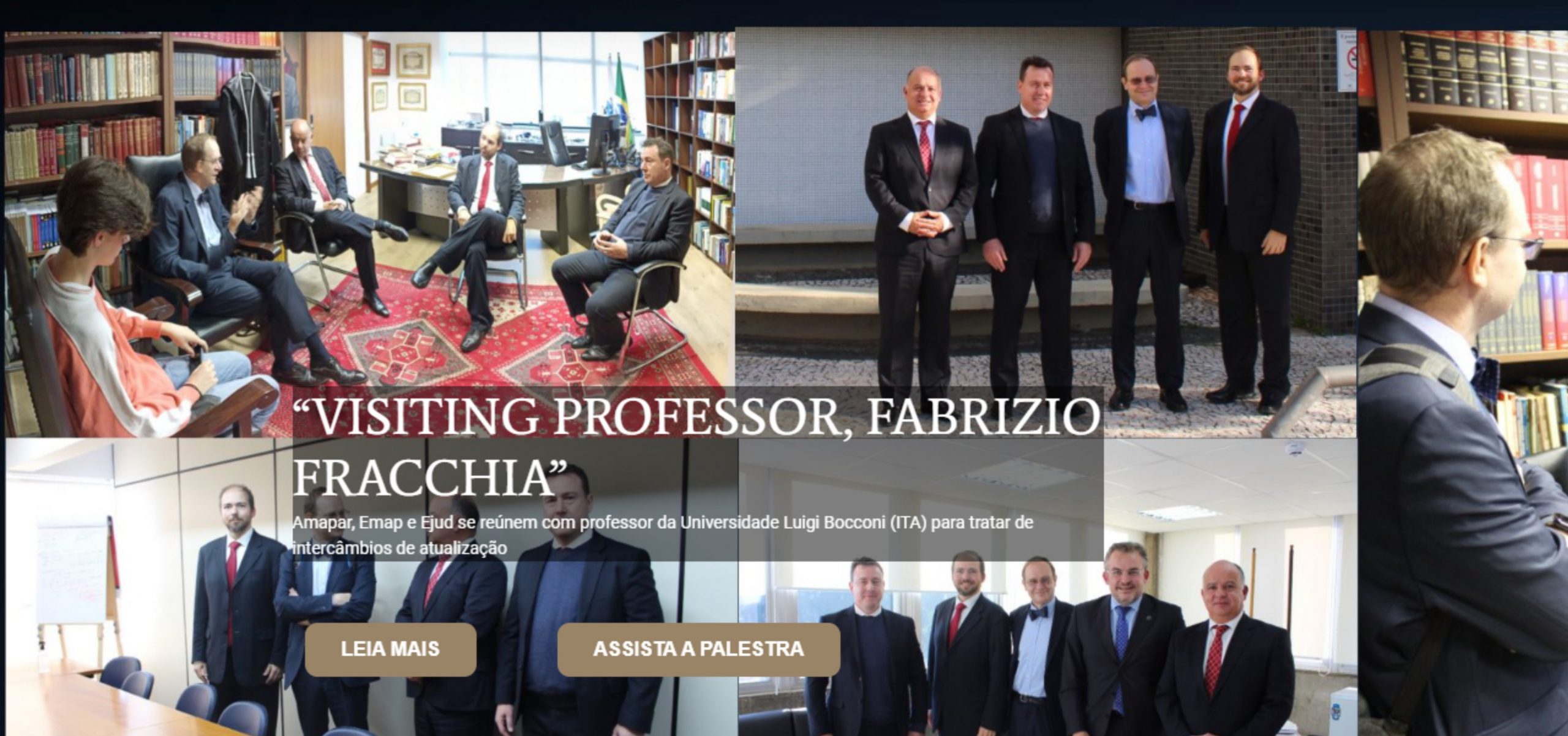 “VISITING PROFESSOR, FABRIZIO FRACCHIA”